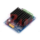 DC Motor Driver DBH-1A Dual Channel 30A | RAM Electronics website
