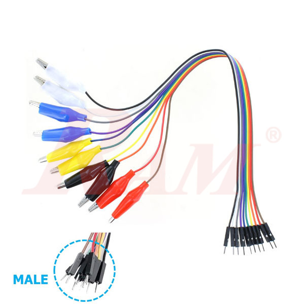 PH71 - 10pin Male Head to Crocodile Alligator Clip 30cm Long | RAM ...